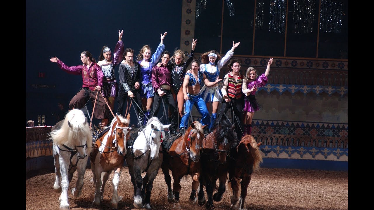 Best Extreme Trick Riders and Horses in America - YouTube