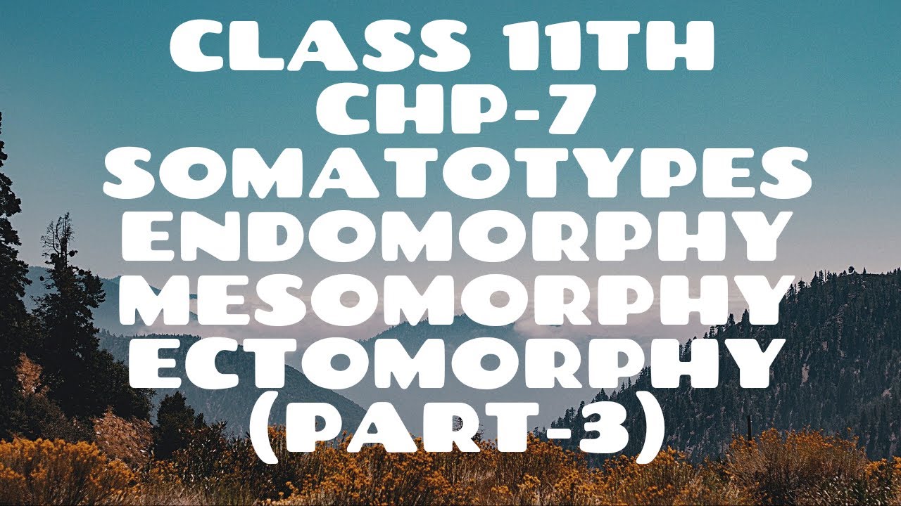Class 11th Chp-7 (Part-3) Somato Types Categories - Endomorphic ...