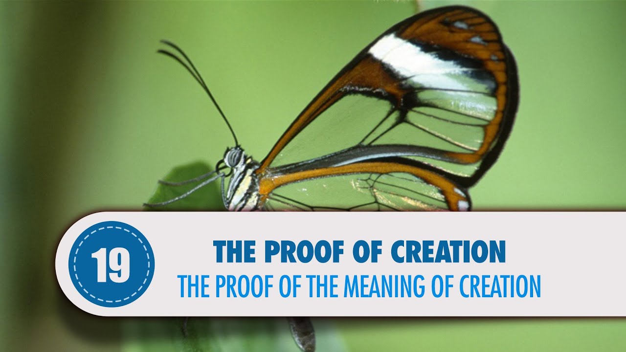 THE PROOF OF CREATION # 19 THE PROOF OF THE MEANING OF CREATION - YouTube