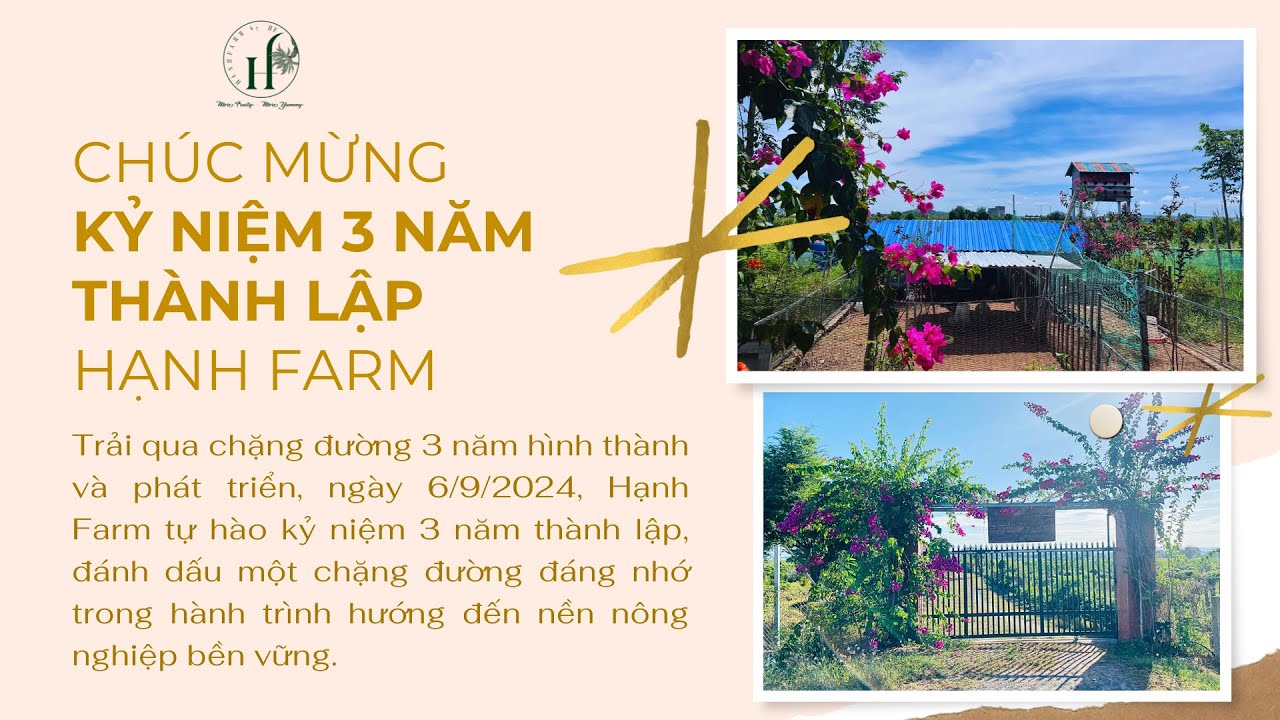 CHÚC MỪNG HẠNH FARM TRÒN 3 TUỔI - YouTube