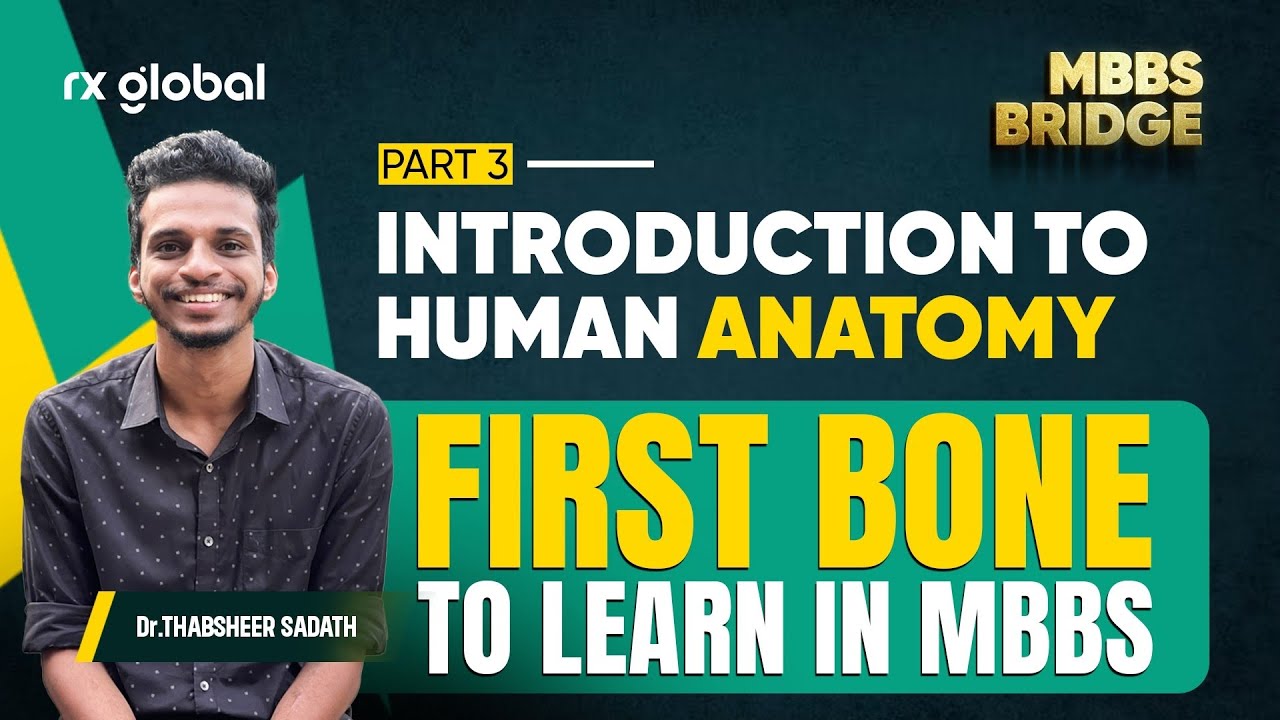 MBBS BRIDGE Episode 6:"First bone to learn in MBBS" Human anatomy part ...