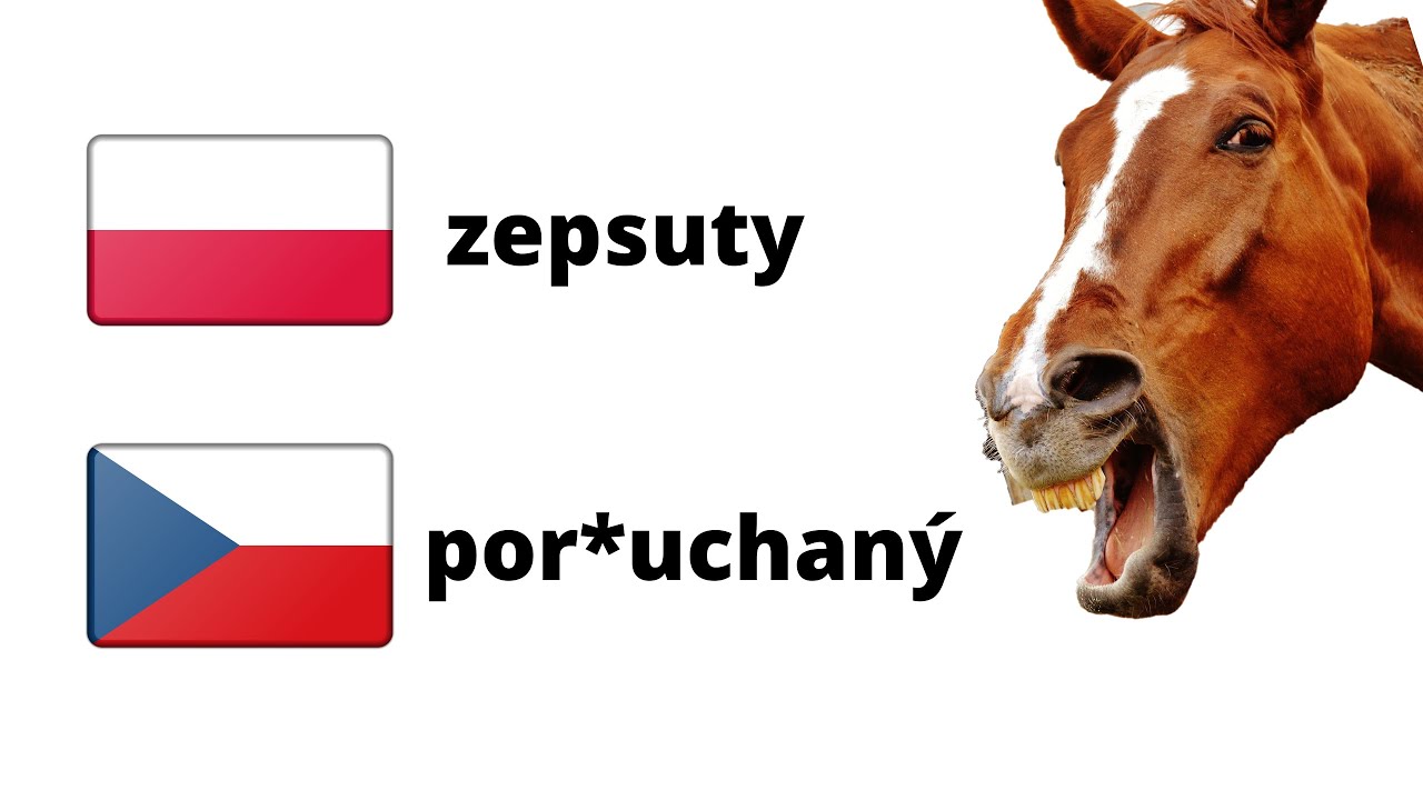 NAJŚMIESZNIEJSZE słowa po CZESKU 😂 Pozamiatali ! Śmieszne zwroty i ...