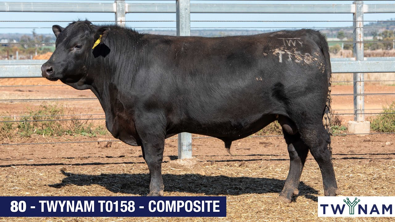 LOT 80 - TWYNAM T0158 - COMPOSITE - YouTube