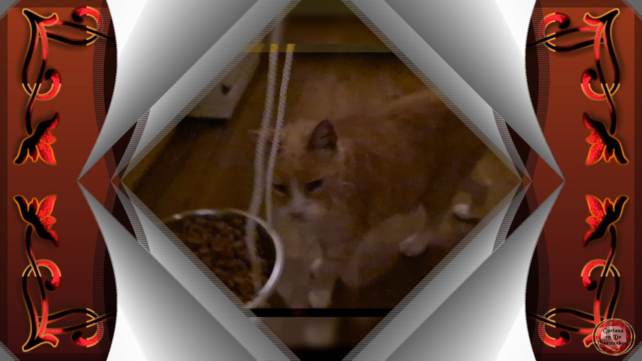 di 10 jan Erwin mijn PBER komt en druk aan het werk Heb geen ...