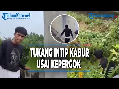 VIRAL TUKANG INTIP KABUR USAI KEPERGOK PEMILIK RUMAH | @TRIBUNLAMPUNGNEWSVIDEO