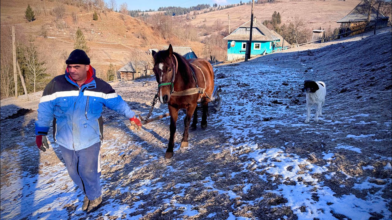 The father of a large family is engaged in farming. Village and Winter ...