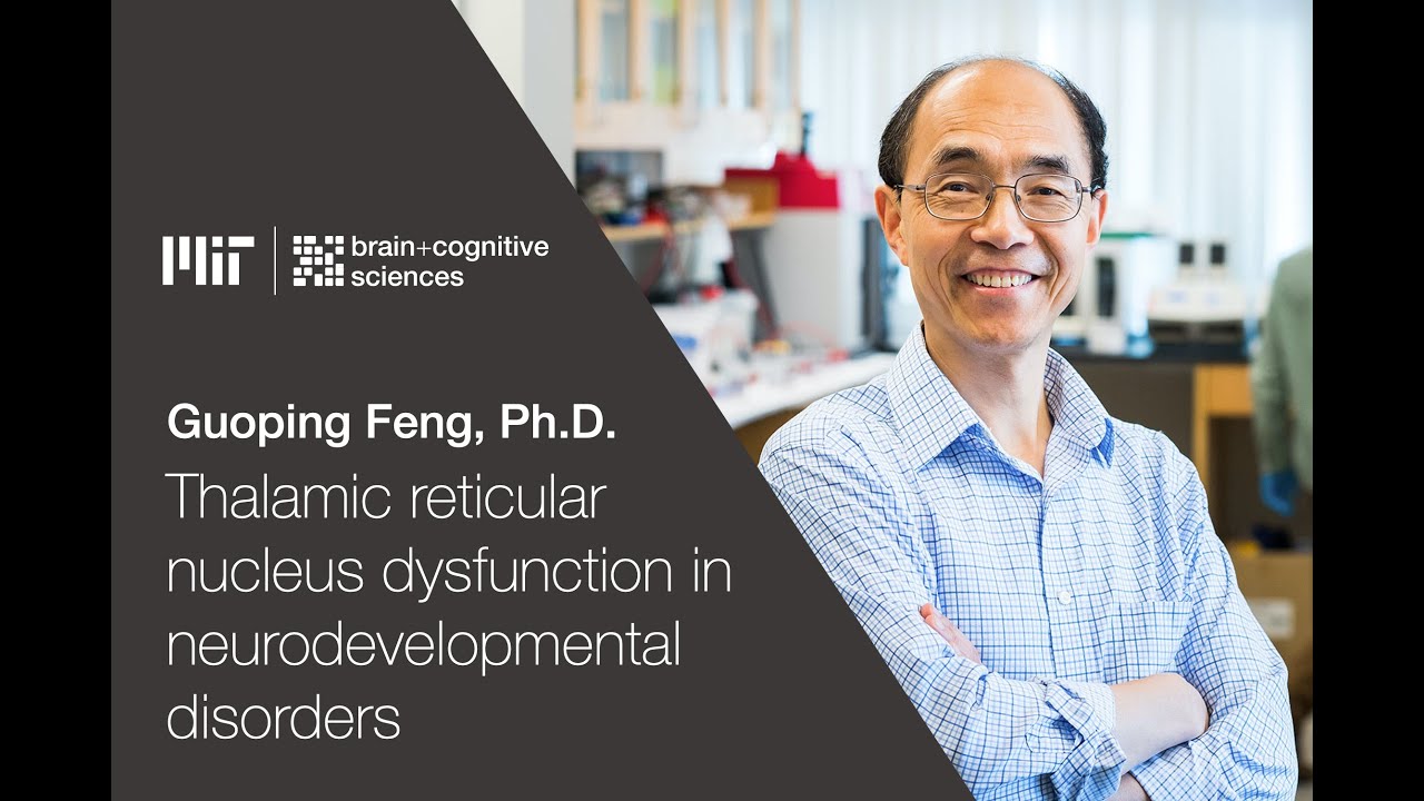 Seminar: Guoping Feng, "TRN dysfunction in neurodevelopment disorders ...
