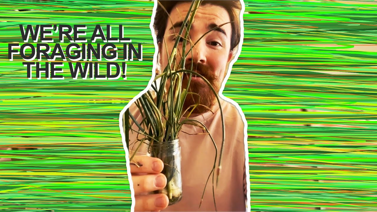 FORAGER. COASTAL FORAGING VIDEO (WE'RE ALL FORAGING IN THE WILD). - YouTube