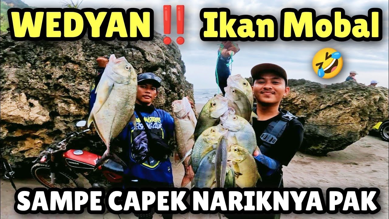 WEDYAN‼️Mancing Ikan Melimpah Sampe Capek Nariknya, Woyy 🤣 - YouTube