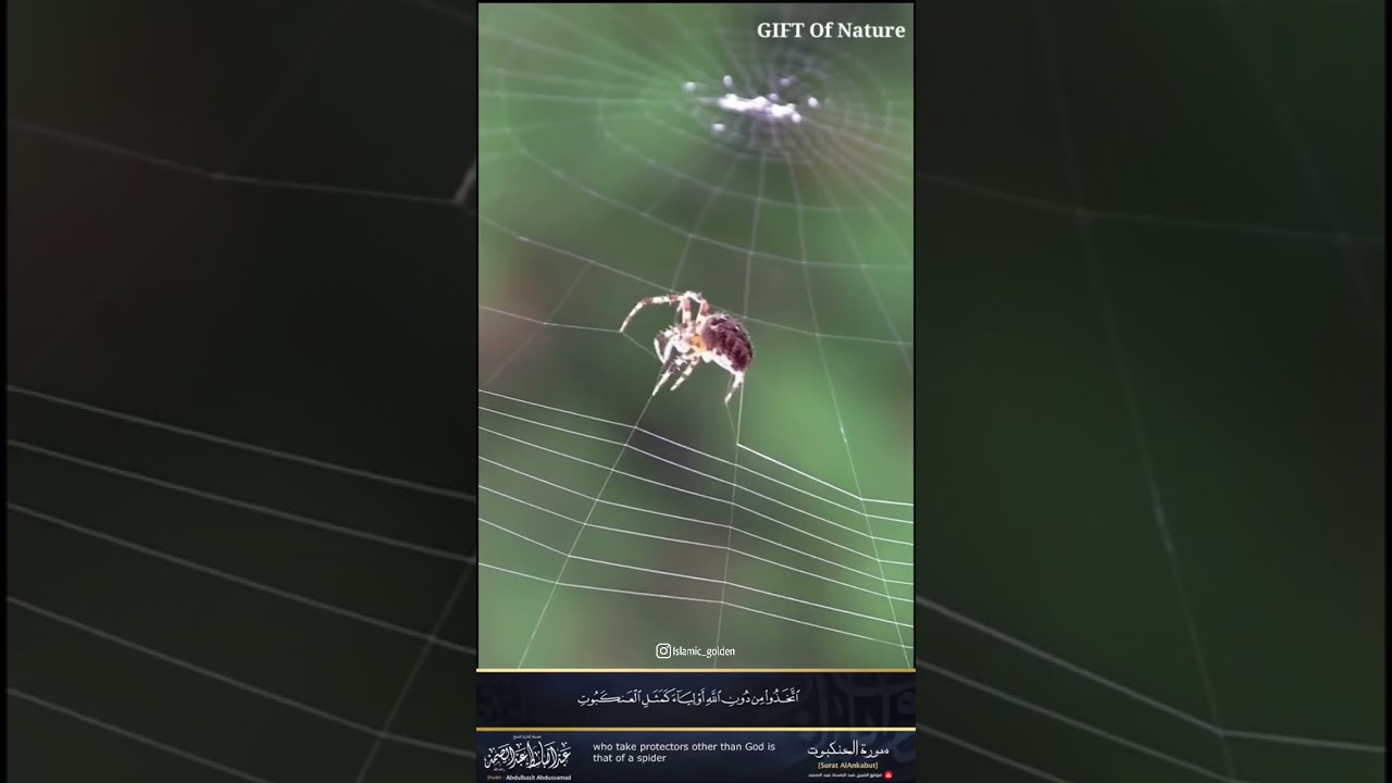 مثل الذين اتخذوا من دون الله اولياء كمثل العنكبوت اتخذت عبدالباسط