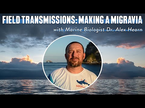Field Transmissions: Making a Migravia with Marine Biologist Dr. Alex ...