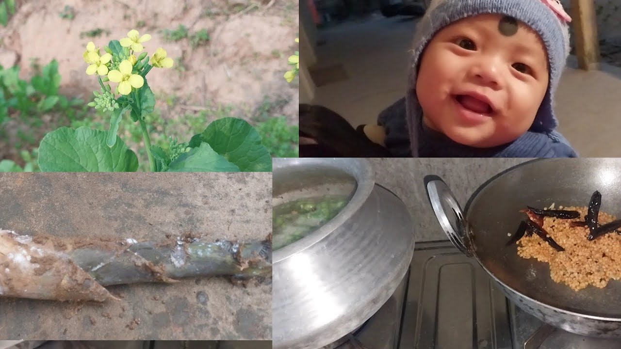 Ani bario tamo tamo tong//mwya kaisa si phung sarik chao//kripa debbarma vlog// - YouTube