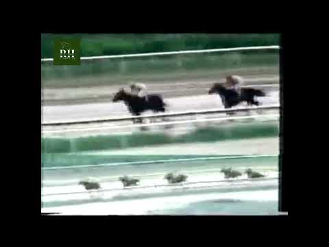 LA ALCAPARRA muestra su gran calidad ganando el Prensa Hipica Nacional del año 1996.