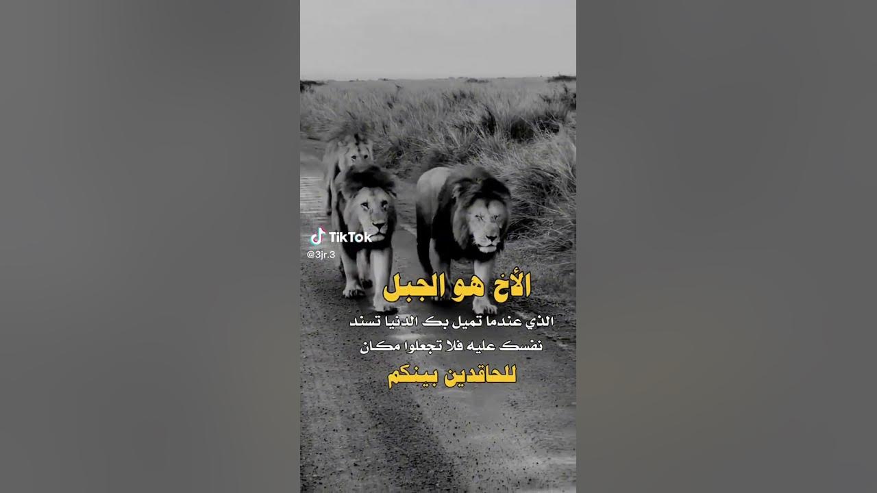 الأخ هو السند والظهر Youtube