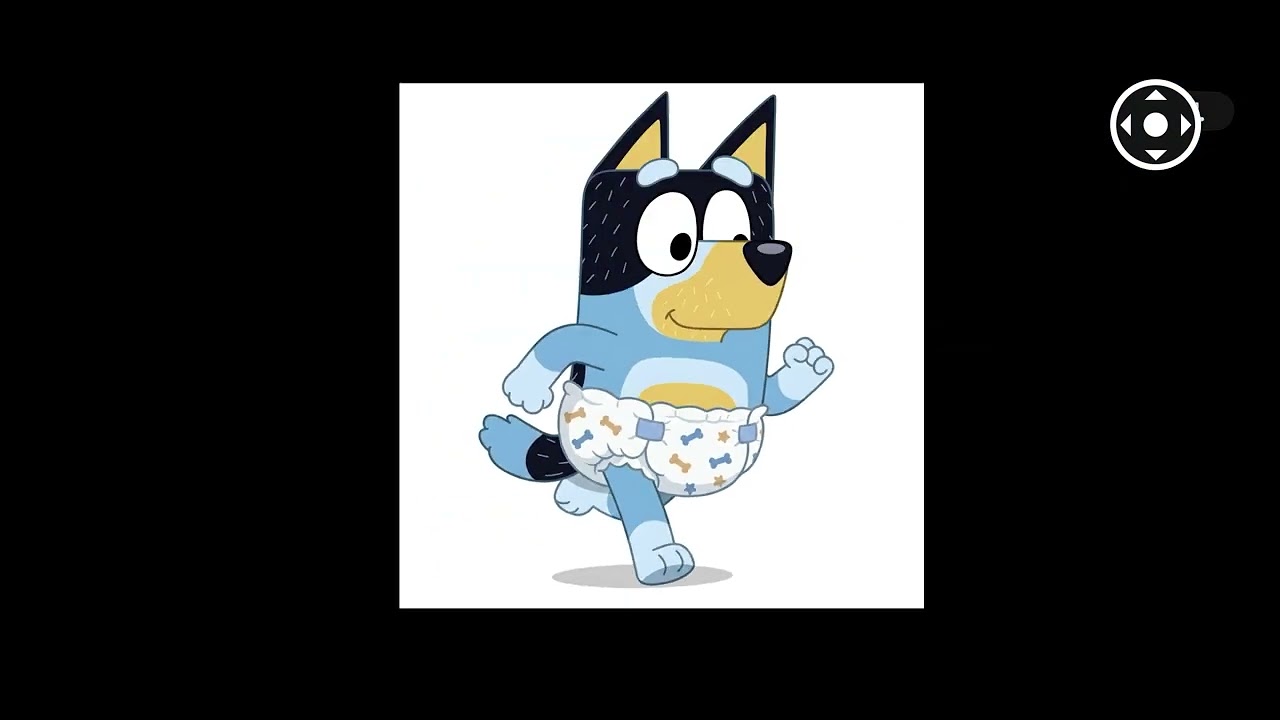 Bandit running in diapers! - YouTube