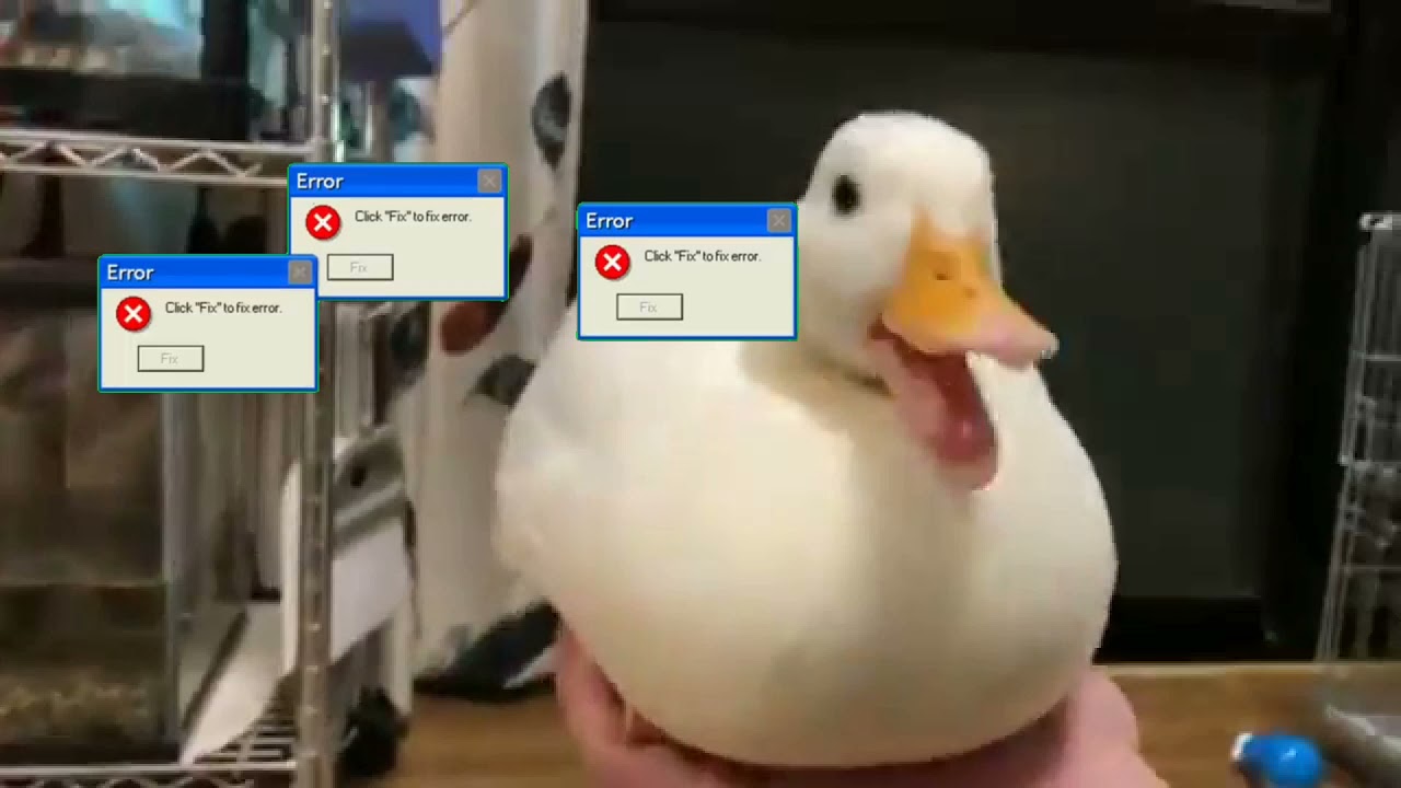 DuCk.exe has stopped working Original - YouTube