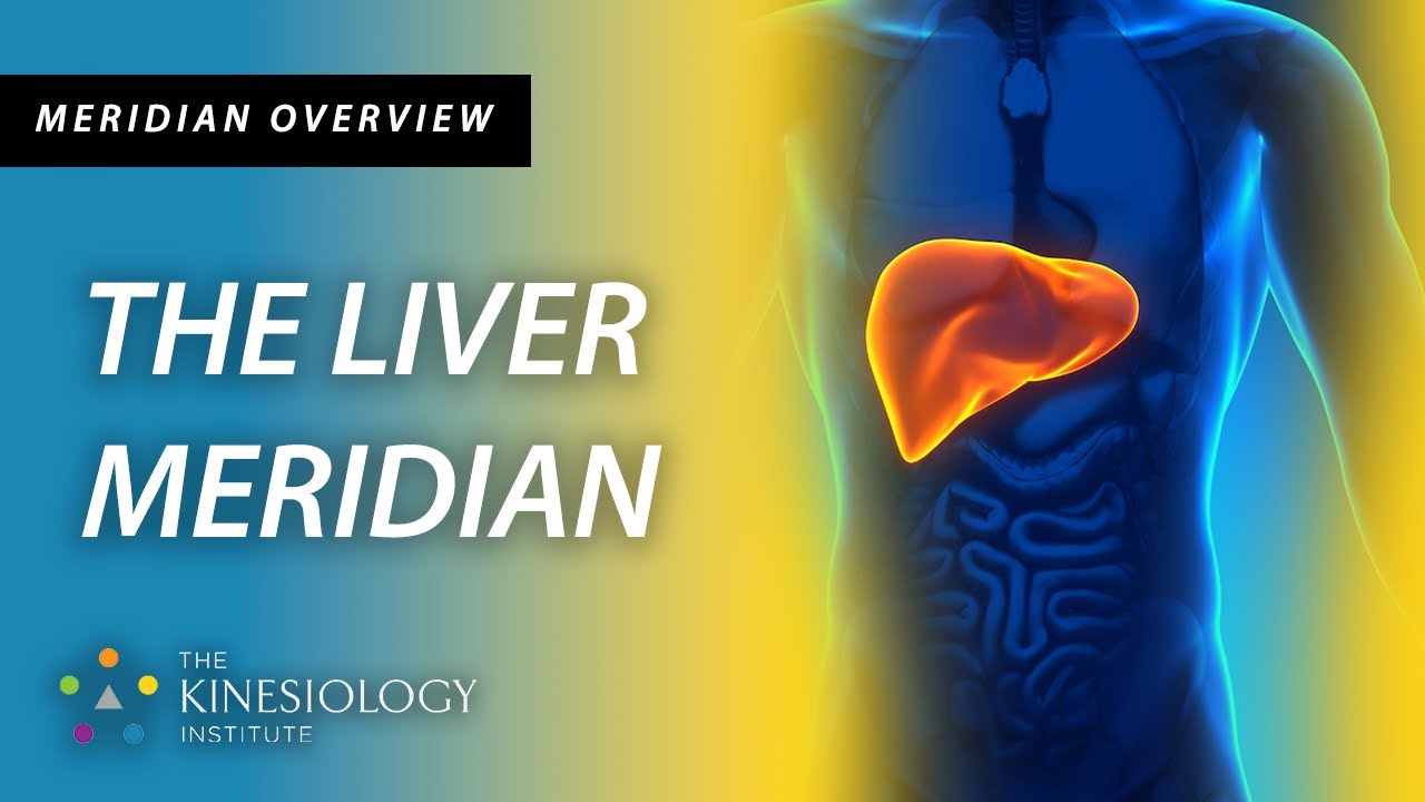 The Liver Meridian | Meridian Overviews - YouTube