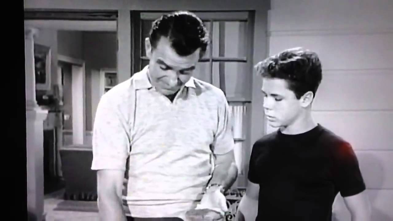 What Was Ward Cleaver's Job at James Velarde blog