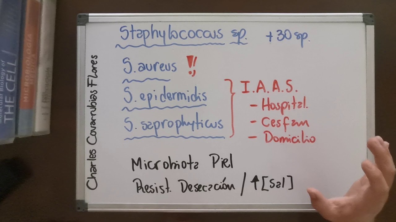 Cocos Gram + - YouTube