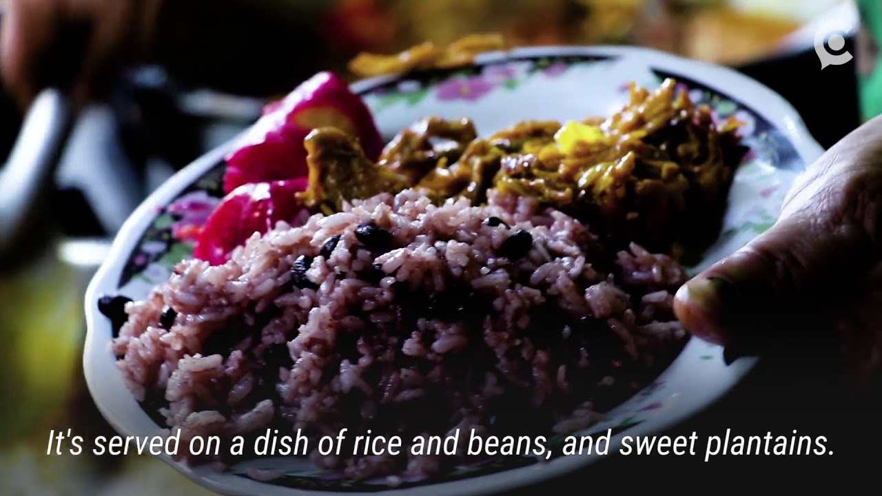 We tried the Capybara, the largest rodent in the world, which is on the ...