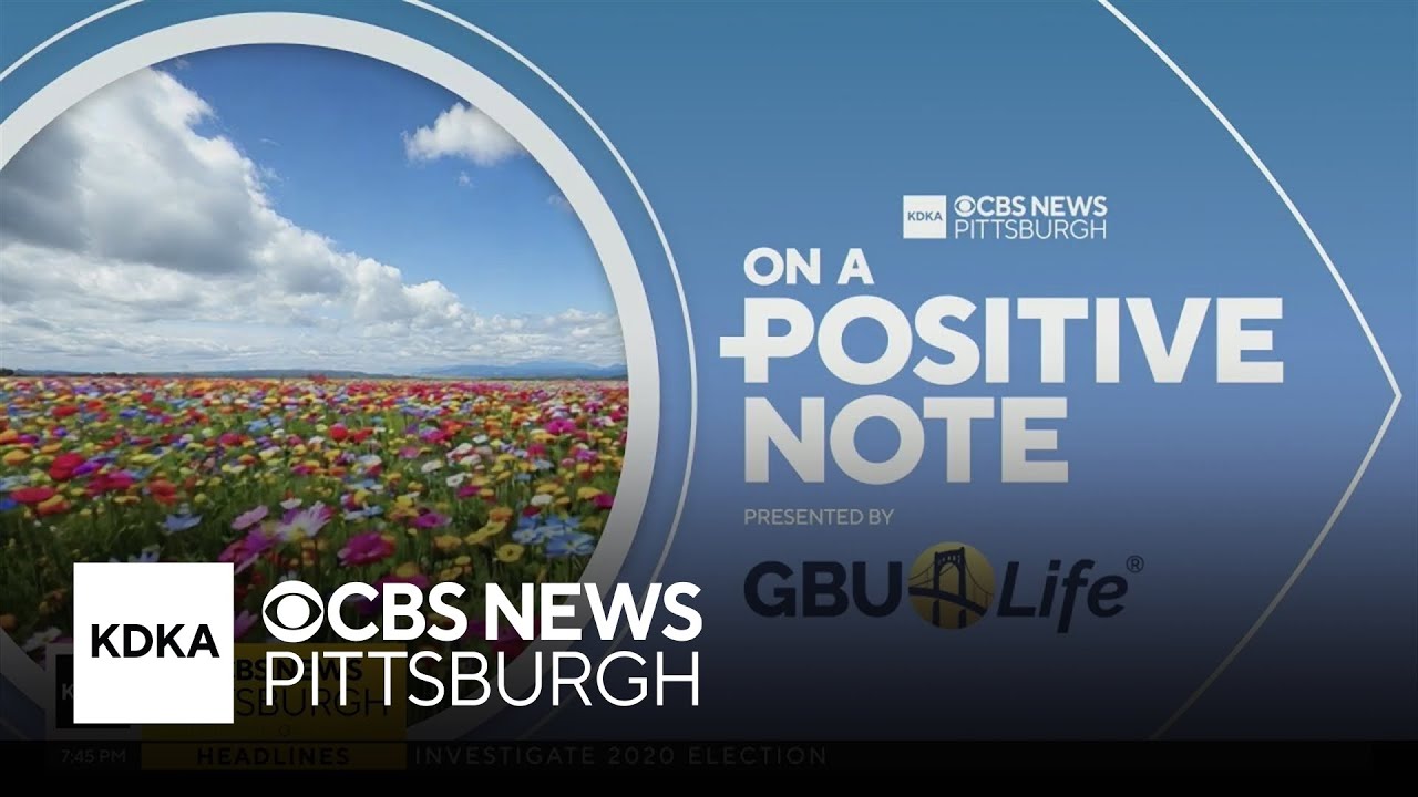 REACH aims to lower gun violence totals while uplifting Pittsburgh ...