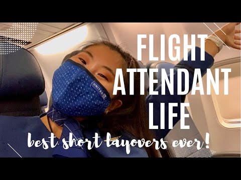 best short layovers ever 😁 // FLIGHT ATTENDANT LIFE