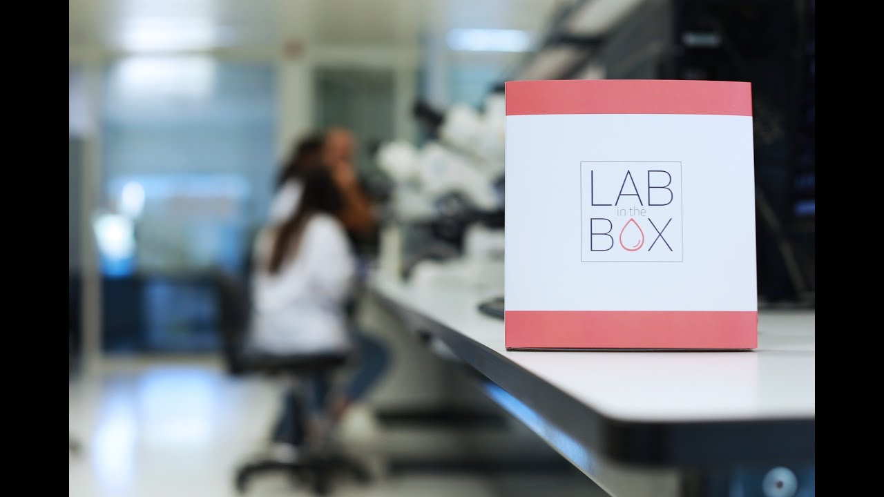 Complete STD At-Home Test — Fast, Private & Laboratory-Certified | LAB ...