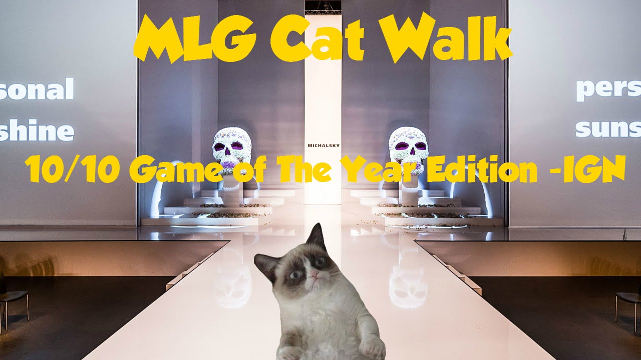 MLG cat walk 10/10 game of the year edition -IGN - YouTube