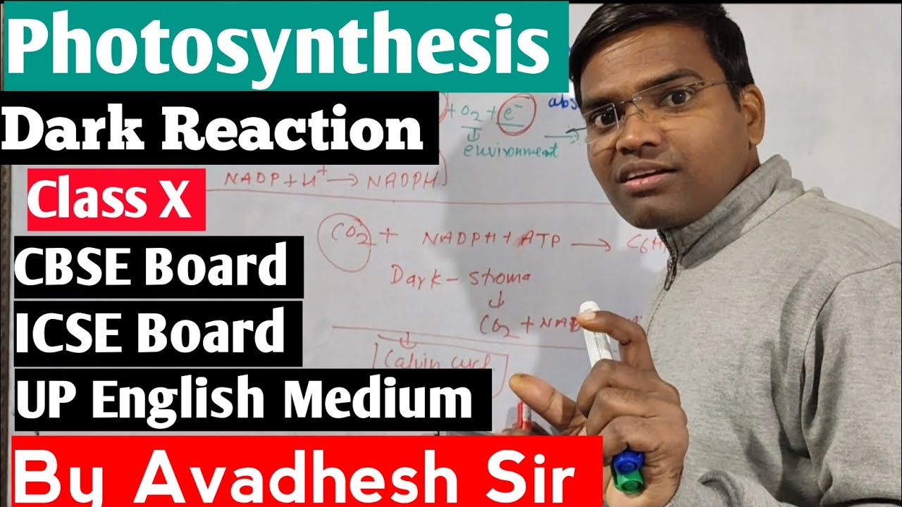 Photosynthesis ll Dark Reaction ll Class X ll CBSE Board,ICSE Board,UP ...