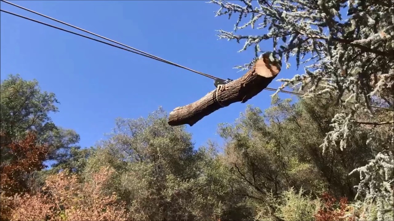 Davis High Lead Yarding - YouTube