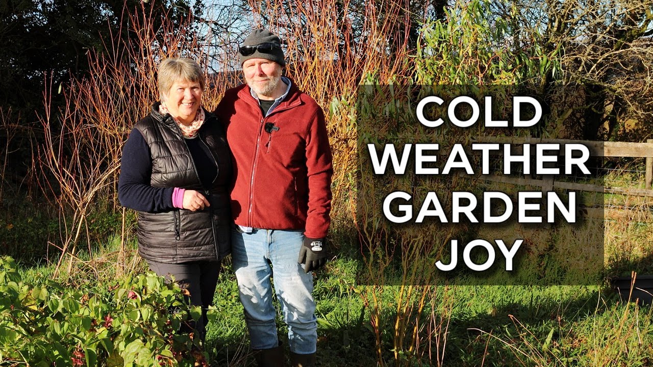 Winter Garden Bliss | My Top Strategies for Beating SAD - YouTube