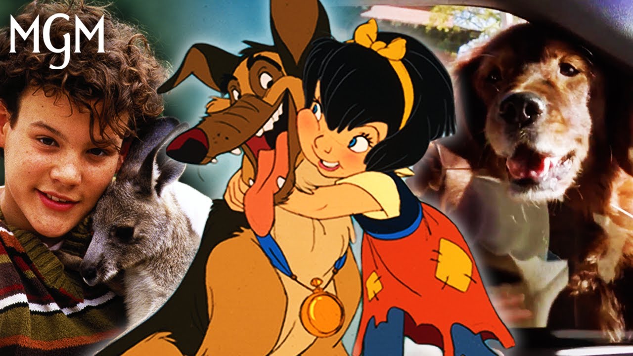 Best Movie Pet Moments | MGM Studios - YouTube