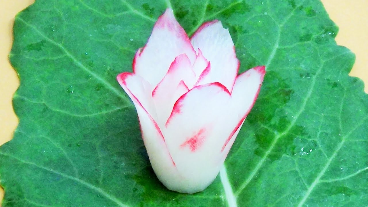 #204 How to carve young radish rose - carving garnish lessons for ...