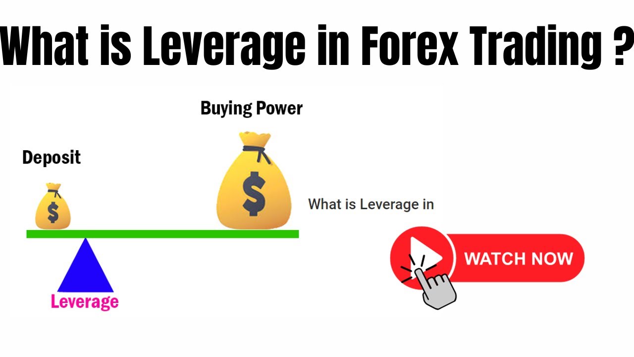 what is leverage in forex trading - Explained in Hindi/Urdu - YouTube
