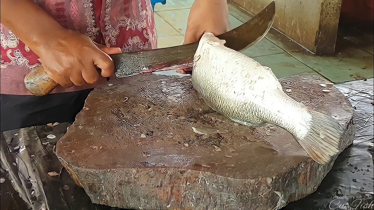 Perfect Cutting Speed of Small Snapper - YouTube