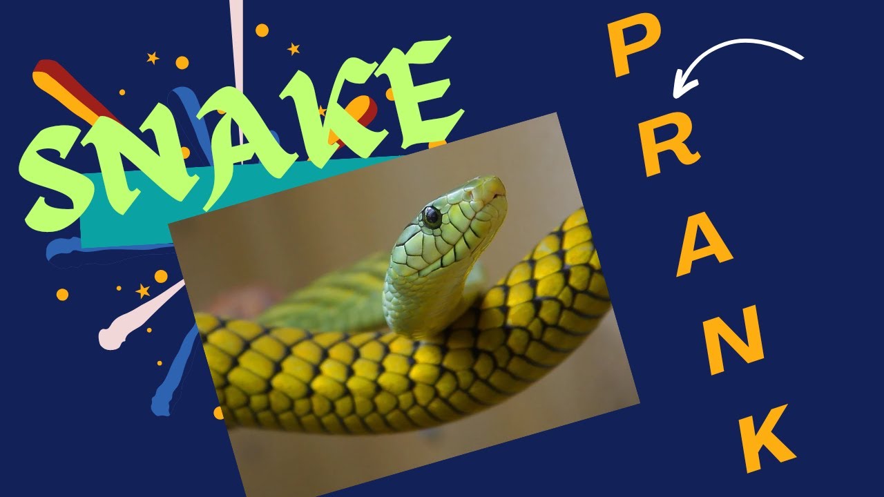 Snake Prank 😂|fake Snake Prank on my family #fun #snake #prank #viral ...