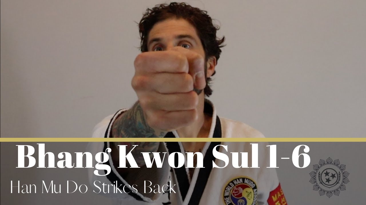 Han Mu Do Techniques - Bhang Kwon Sul Son 1-6 - Defense Against a Punch ...