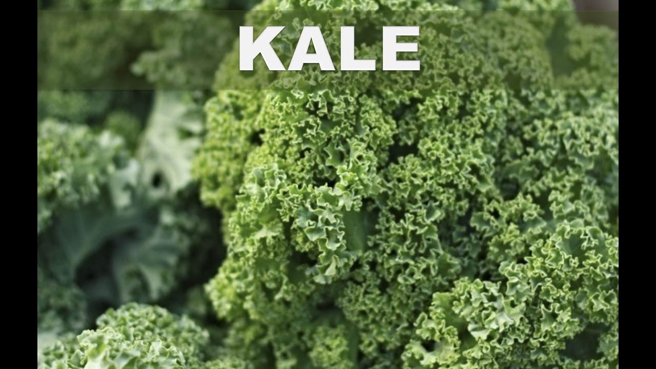 Estos son los 5 mejores beneficios del kale o lechuga rizada para la ...