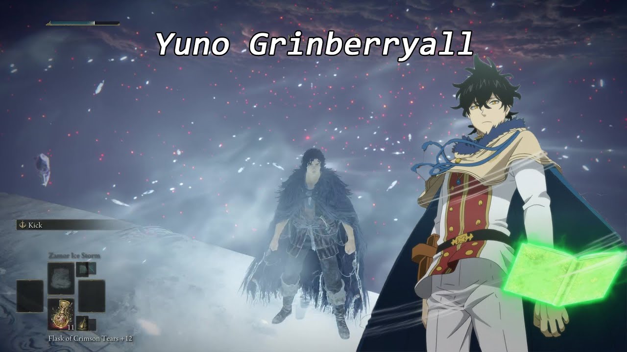 THIS IS YUNO GRINBERRYALL IN ELDEN RING!! (Yuno Grinberryall Build ...
