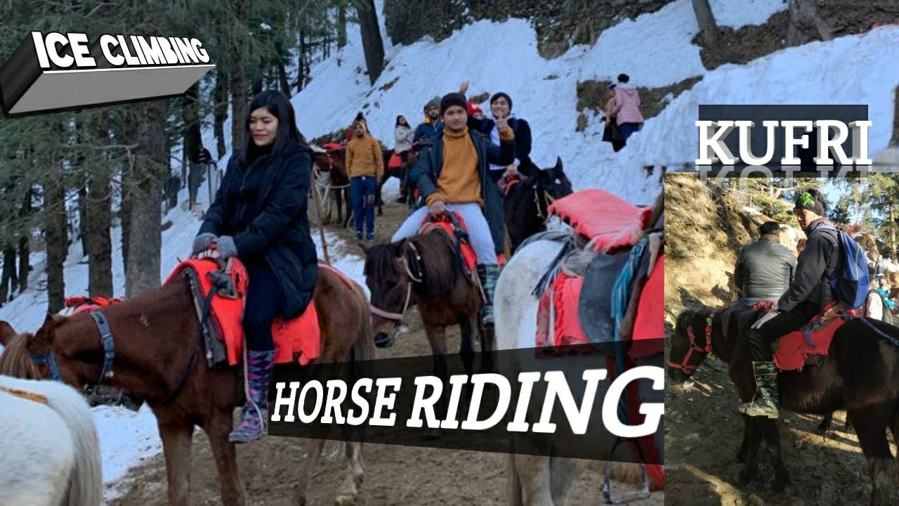SHIMLA TRIP PART-2 / HORSE RIDING PART / KUFRI - YouTube