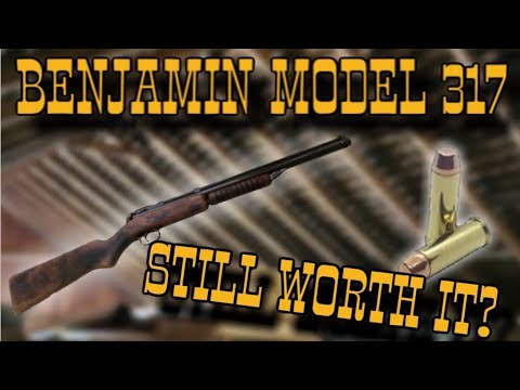 Benjamin Model 317: Still worth it? Range & Review - YouTube