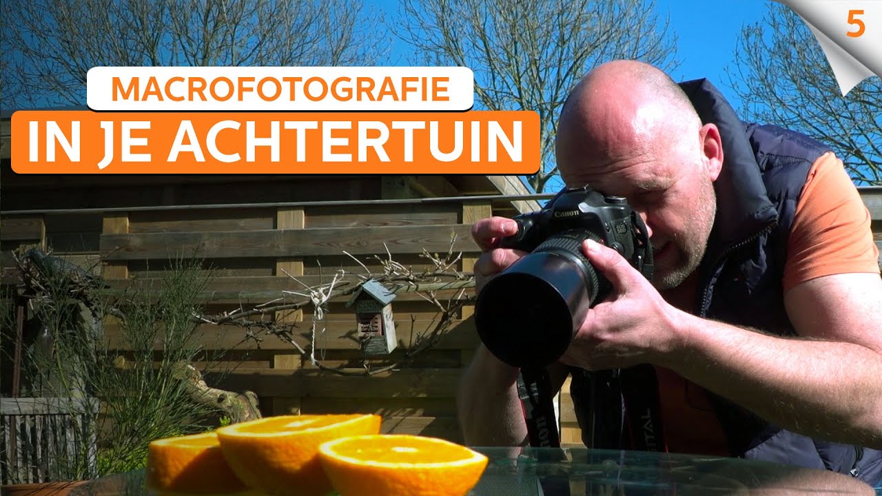Macro in je achtertuin: een paradijs voor macrofotografie ...