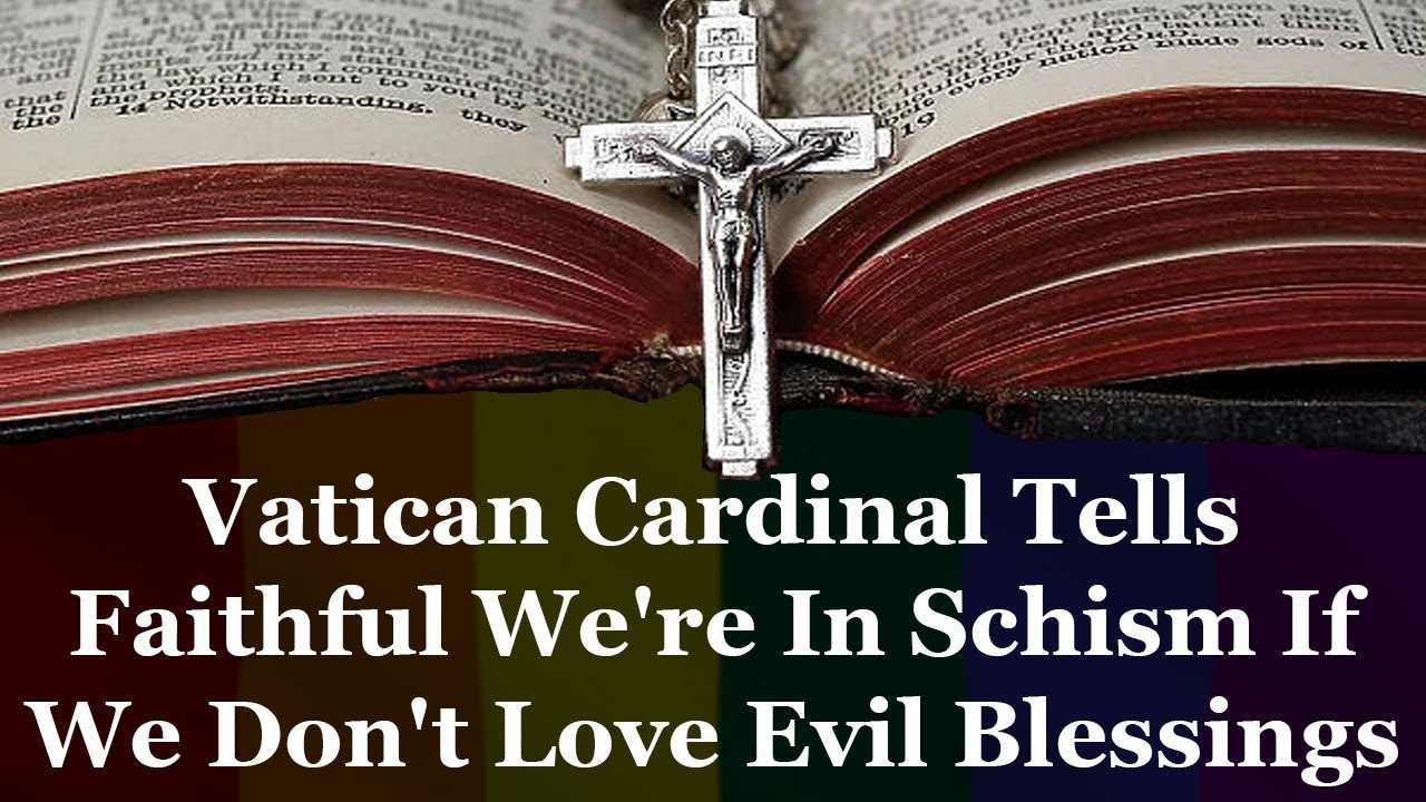 Vatican Cardinal Tells Faithful We're In Schism If We Don't Love Evil ...