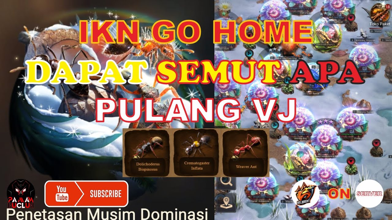 BACK TO SERVER 1050 | META SHOOTER DB CI WA 😆😆 THE ANTS UNDERGROUND ...