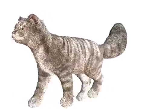 İNTİHAR ETTİREN VİDEO (SAKIN İZLEMEYİN)