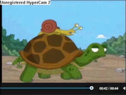 Snail on the back of a Turtle - YouTube