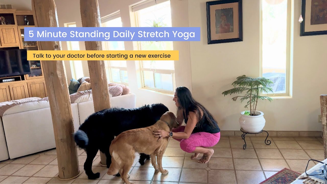 5 Minute Standing Daily Stretch Yoga - YouTube