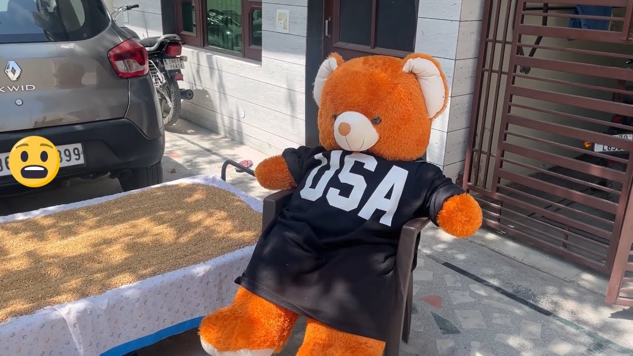 Sunday Cooking Vlog | Family vlog video #punjabivlog #vlogger # ...