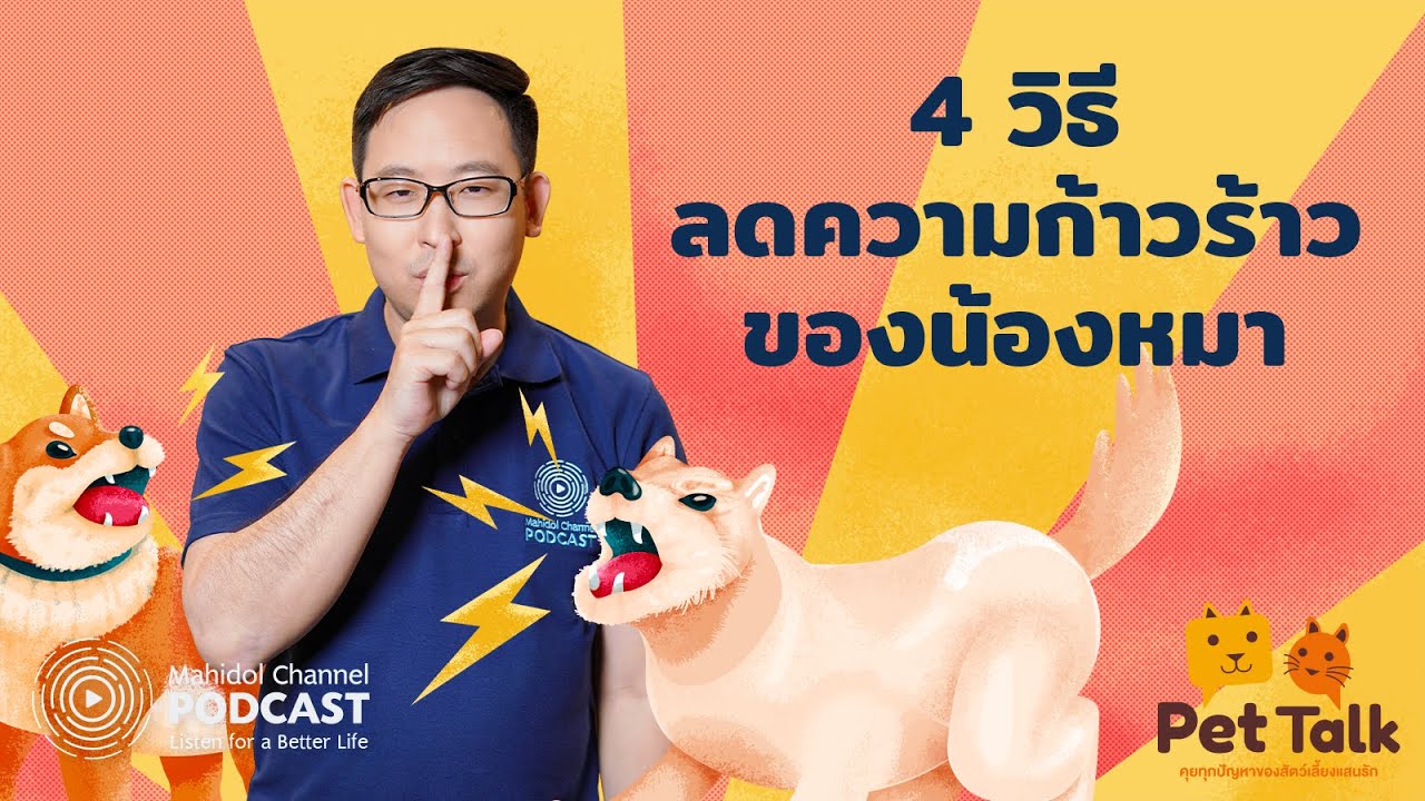 [PODCAST] Pet Talk | EP.3 - 4 วิธีลดความก้าวร้าวของน้องหมา - YouTube