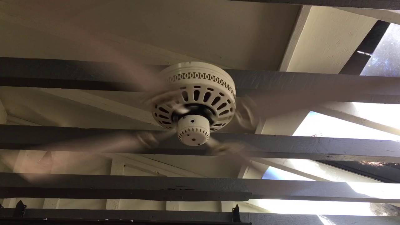 Smc Ceiling Fan Light Kit | Shelly Lighting